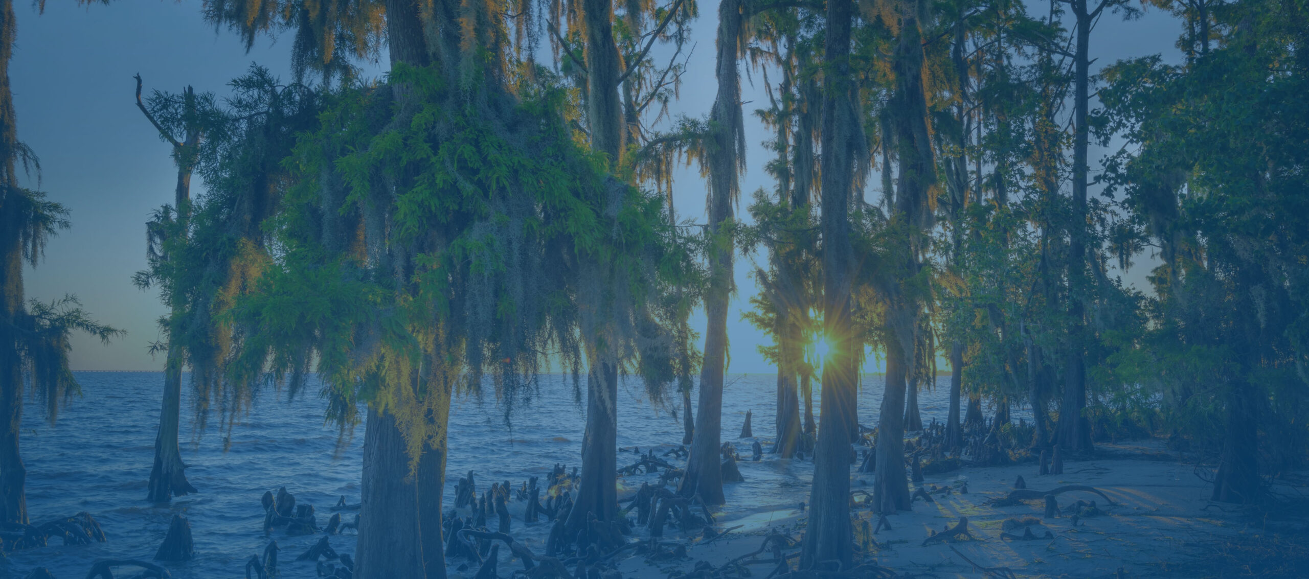Marketing Toolkit - Keep Louisiana Beautiful